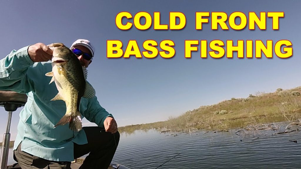 Cold Front Bass Fishing - Baby Buzzbait™ Lures "The Most Compact ...